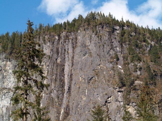 Chilkoot River2011 092 | Chilkoot Indian Association